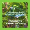 Nuestros Productos - BioStar México